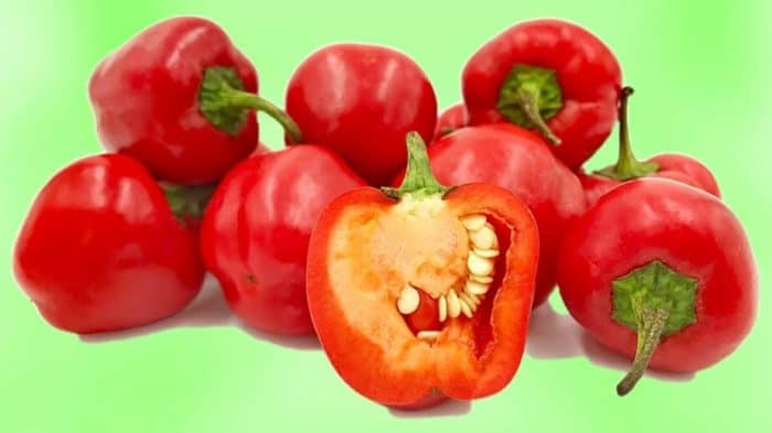 Rocoto Pepper: Scoville, Flavor, Uses, And Other Features