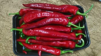 Cow Horn Pepper | Type Of Chile, Scoville, Flavor, Uses