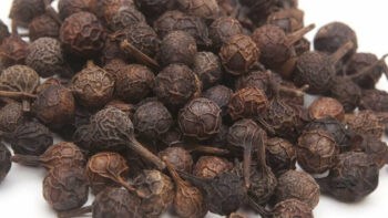 Cubeb Pepper | History, Flavor, Uses, Health Benefits