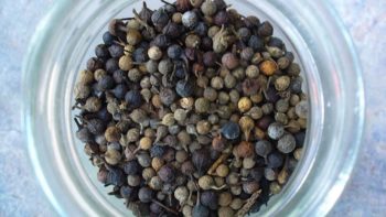 Cubeb Pepper | History, Flavor, Uses, Health Benefits