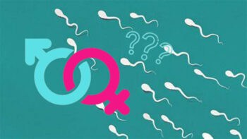Gender Selection: The Processes And Ethical Debate